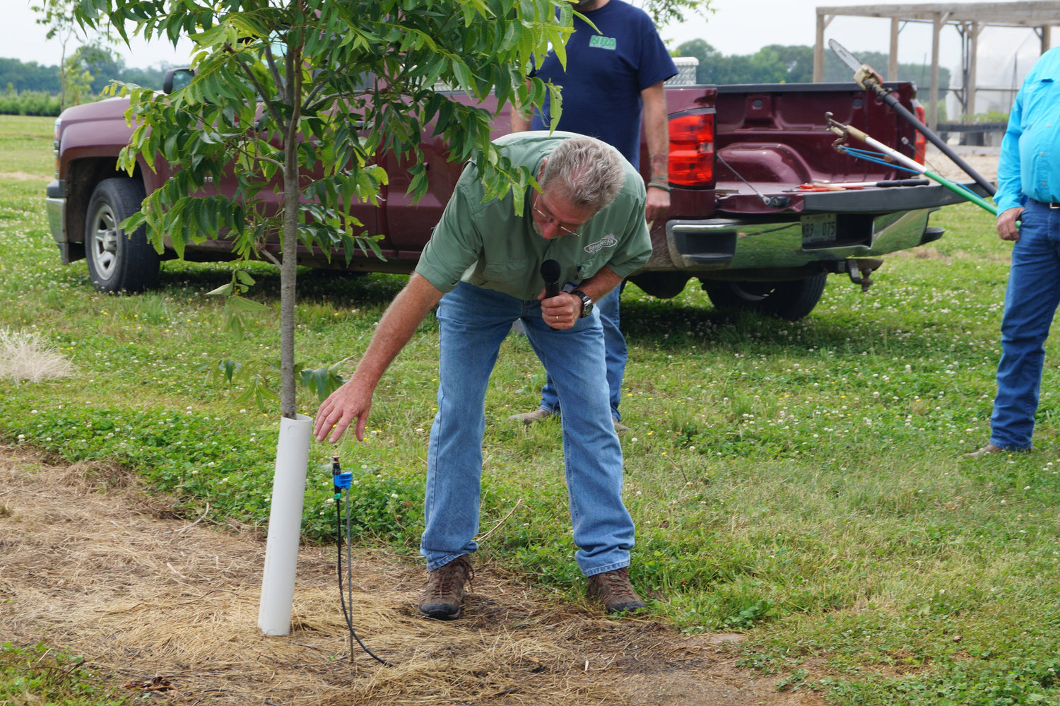 Water, Water, Water...To Irrigate or Not – Bass Pecan