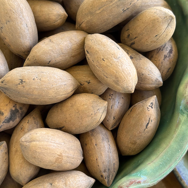 Avalon Pecans (In Shell) – Bass Pecan